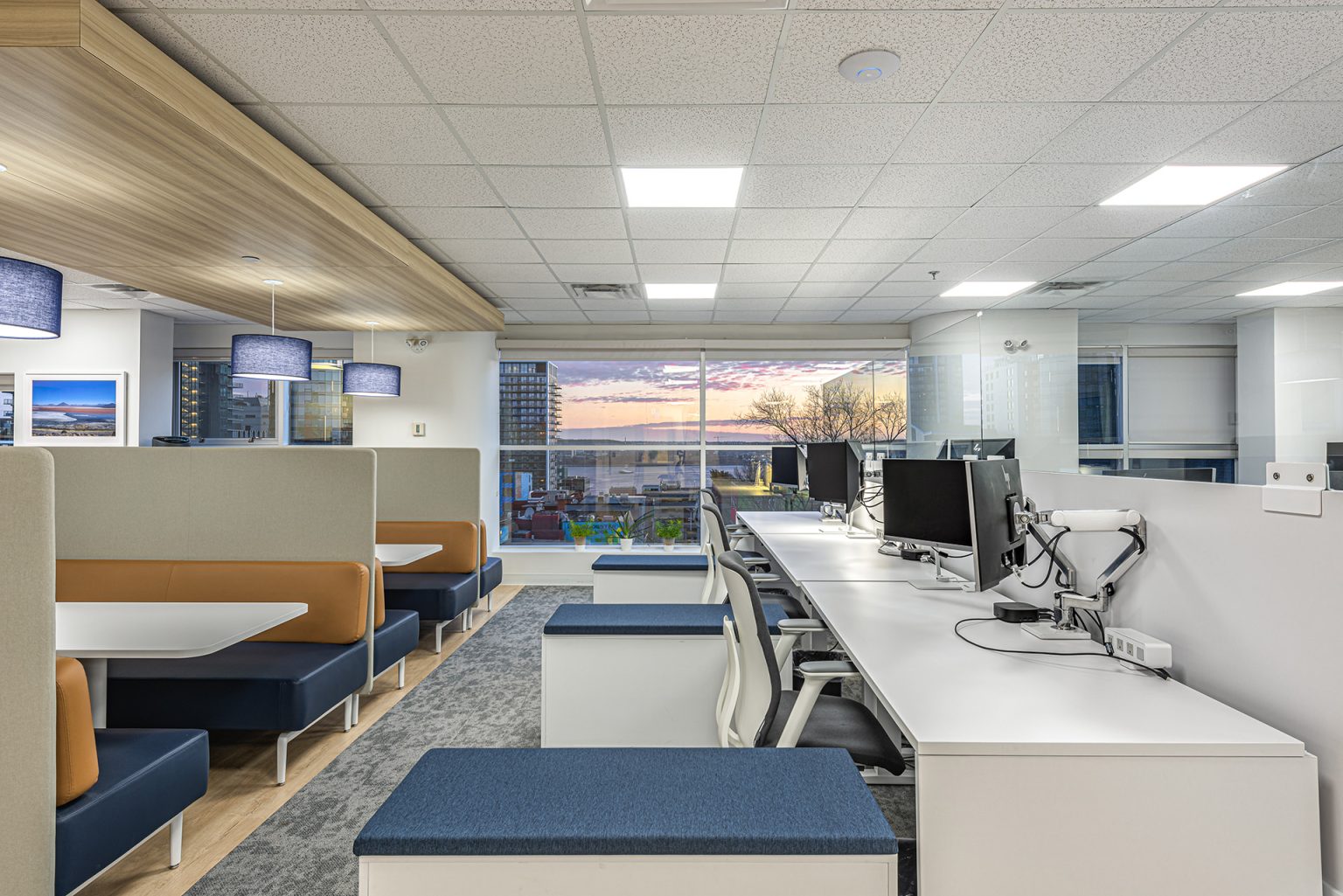 Behind the Scenes of Designing Colliers Halifax - SGH DESIGN PARTNERS